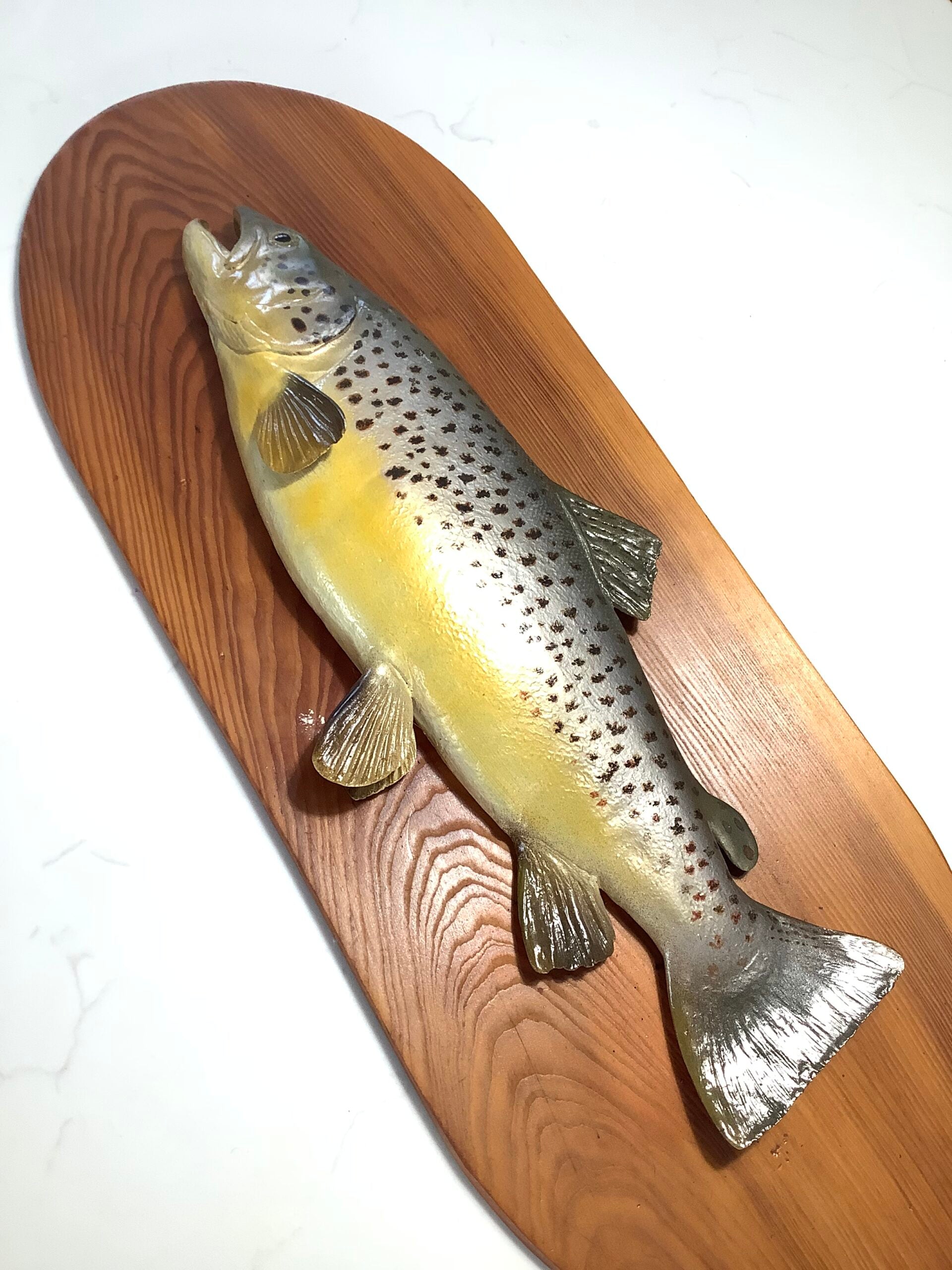 Decorative Hand Painted Large Brown Trout on Presentation Display Boar ...